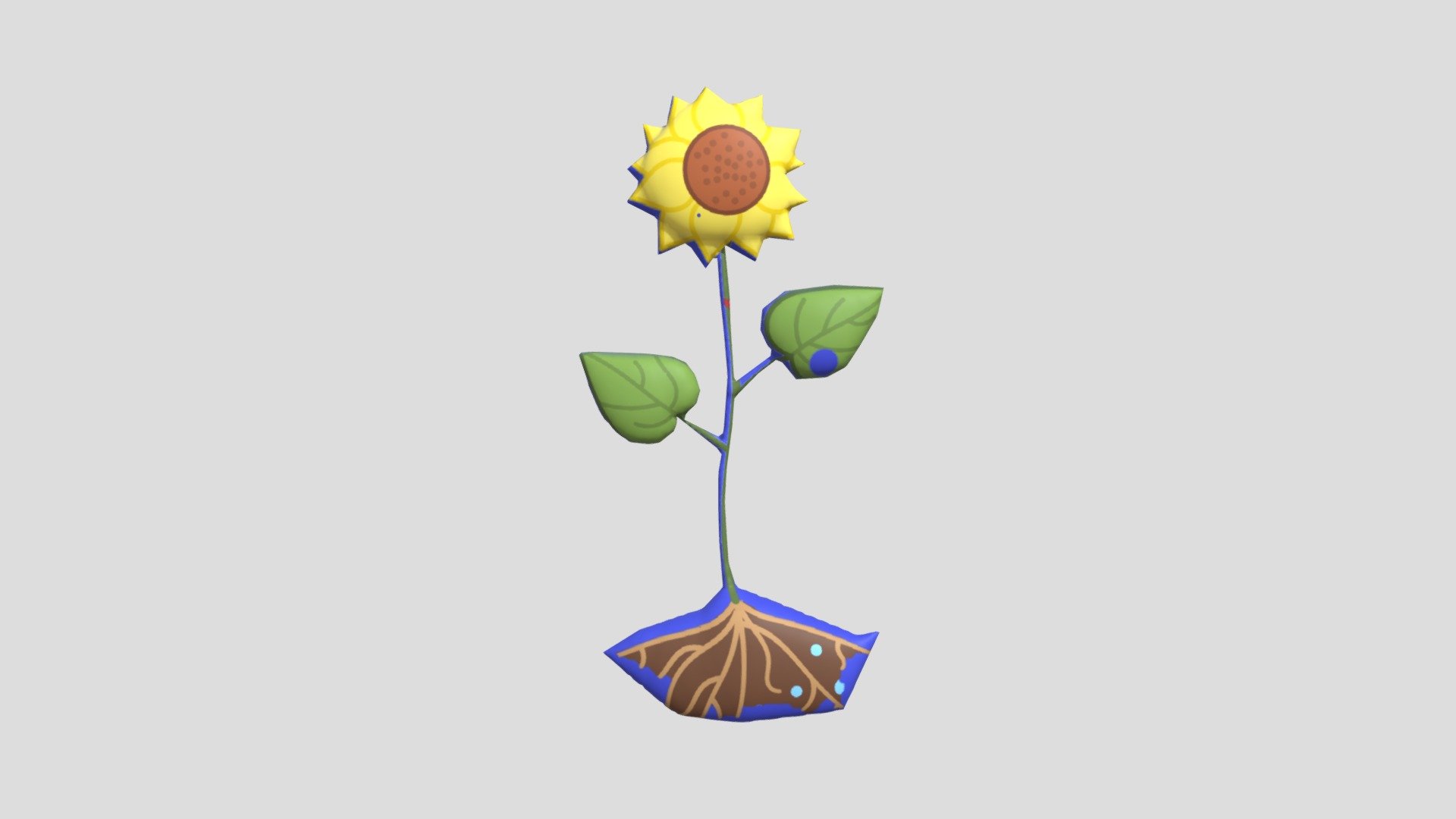 Foto sintesis pada bunga matahari - Download Free 3D model by ...