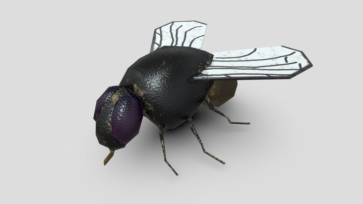 Flies 3D models - Sketchfab