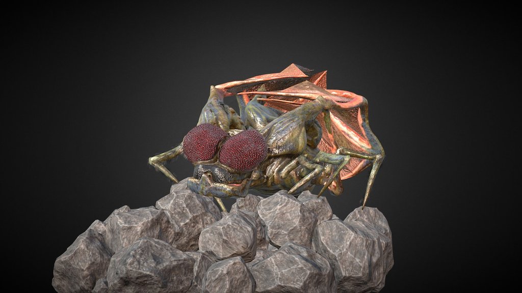 Fly Monster - 3D model by petrovich7777 [2bc3e68] - Sketchfab