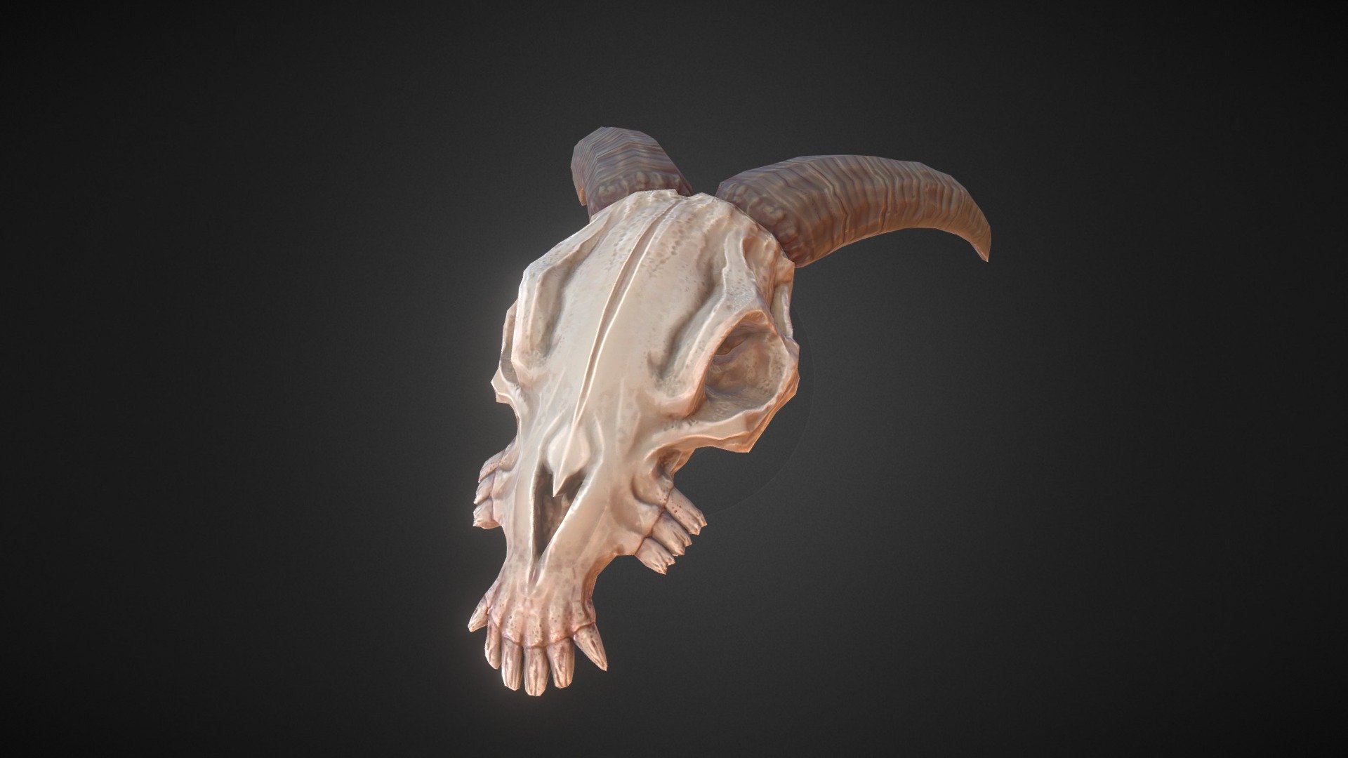 Horned Skull - 3D model by Jbn0s0rus [2bc51ab] - Sketchfab