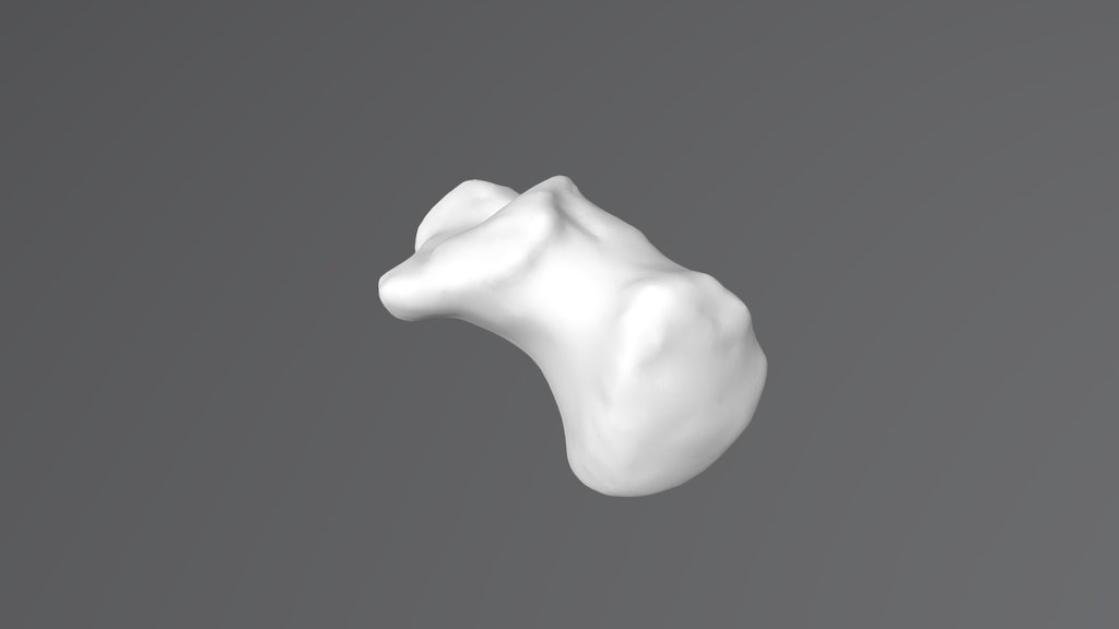 Calcáneo - 3D model by Clínica 3D (@clinica3d) [2bc796d] - Sketchfab