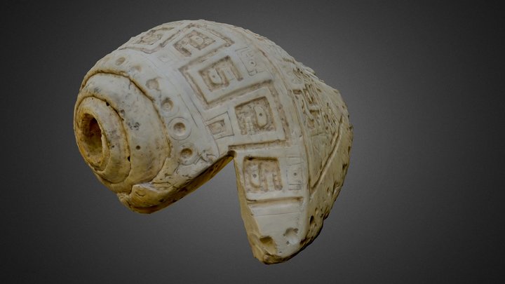 Pututu 3D models - Sketchfab