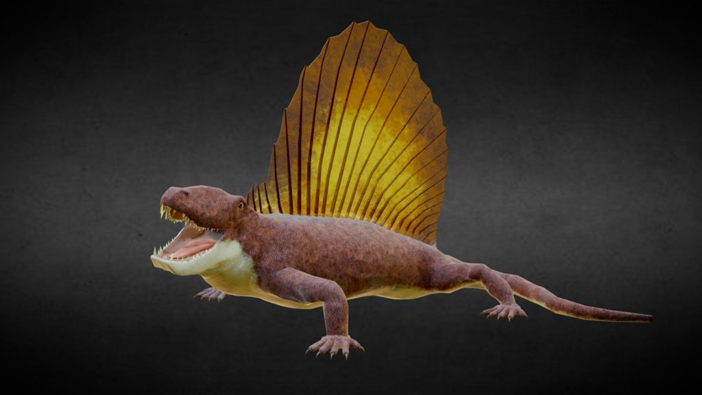 Dimetrodon - 3D model by Willywoo [2bd9123] - Sketchfab