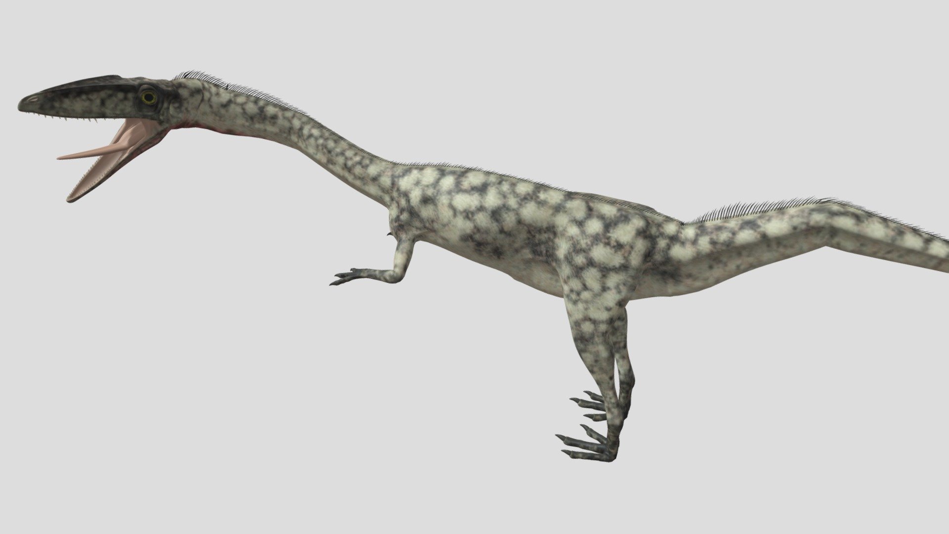 coelophysis - Download Free 3D model by seth the yutyrannus ...