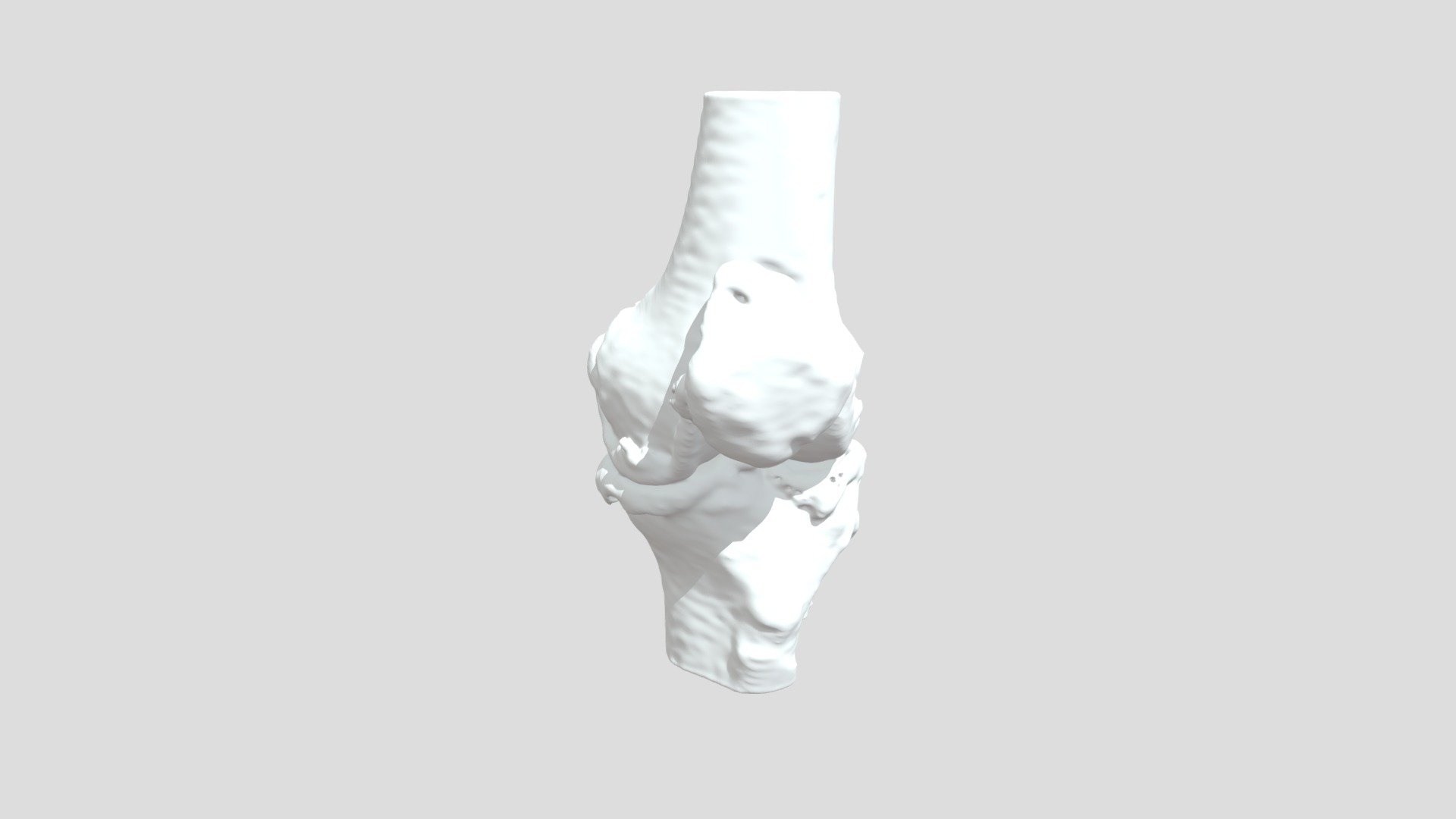 Segmentation Vala Lt Bone - 3D model by curisdata.science [2be3ab1 ...