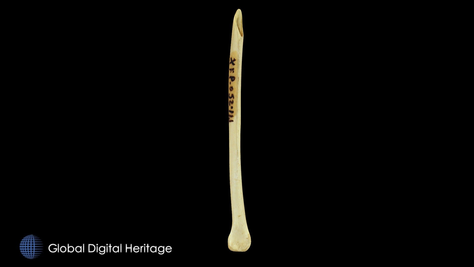 XFP-052 Bird Bone Awl, Sanak Island, Alaska - Download Free 3D model by ...
