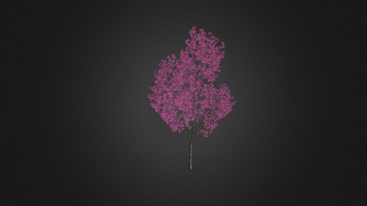 Tabebuia 3D models - Sketchfab