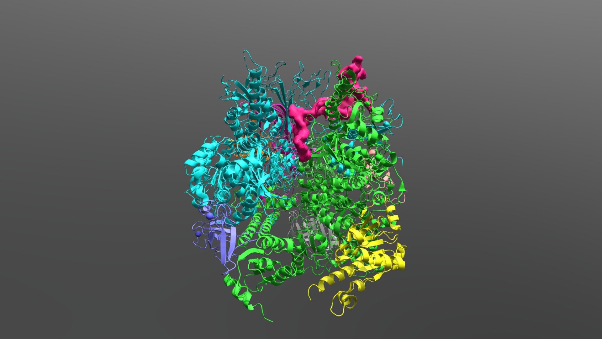 RNA Pol II & TFIIB (yeast) - Download Free 3D model by wgDNA (@wgurley ...