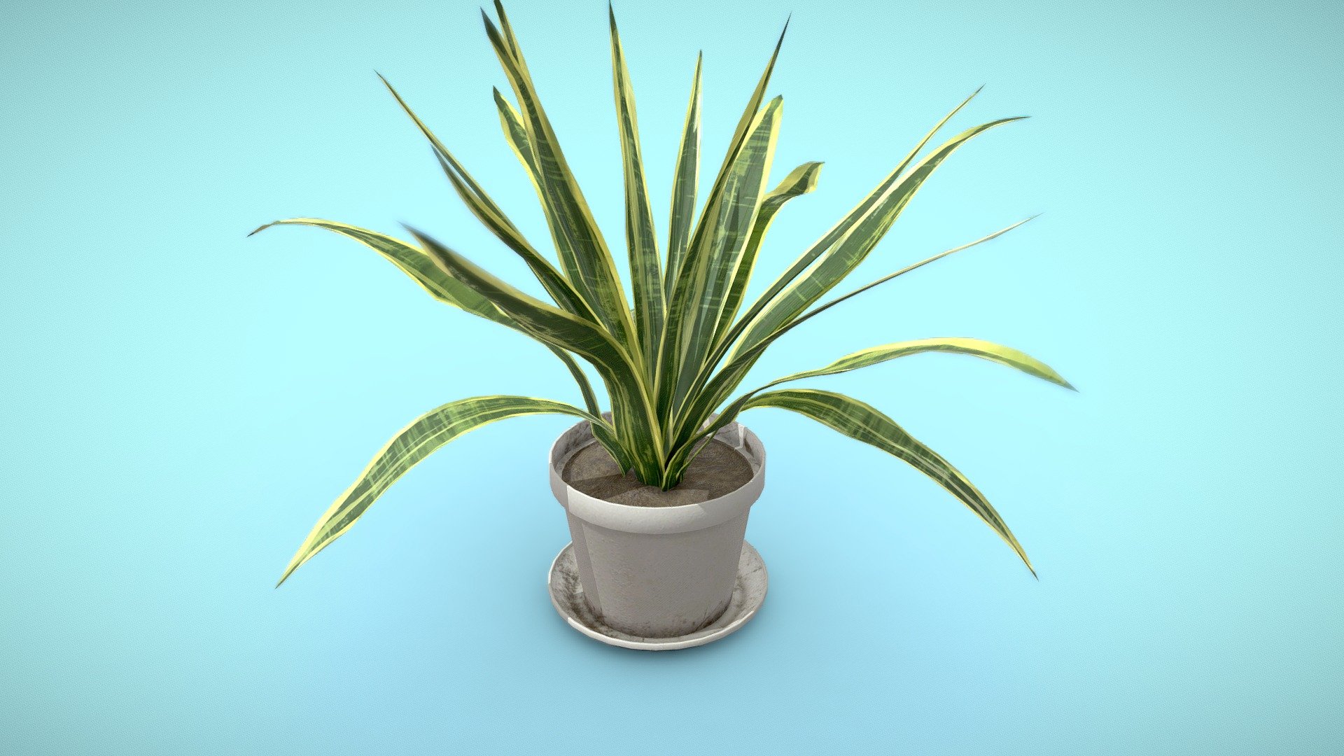Snake plant - Buy Royalty Free 3D model by Fantom Matter (@aqpetteri ...