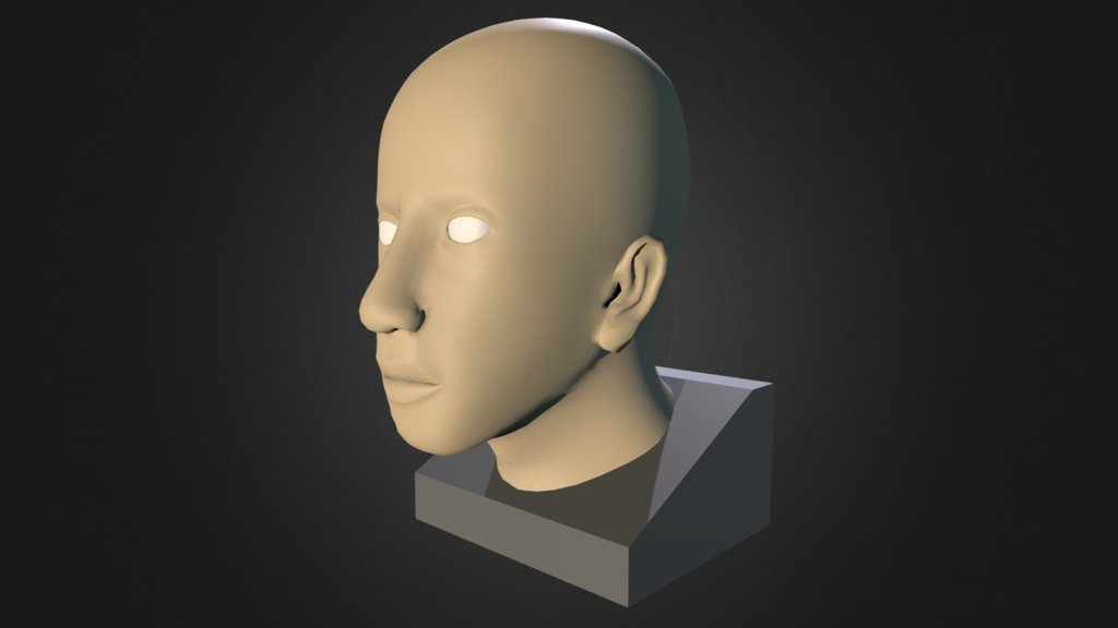 Human Head / Cabeza Humana - 3D model by AlexisVLazcano [2c0595c ...
