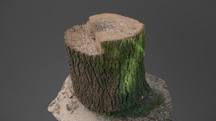 Dust 3D models - Sketchfab