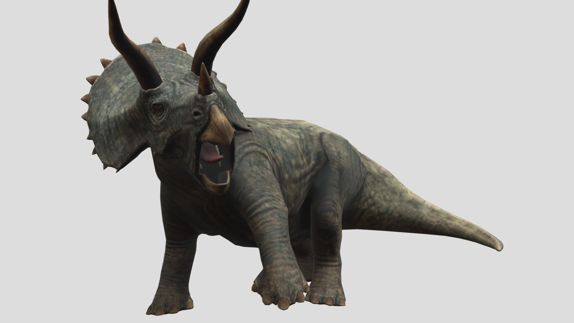 JW Primal Ops Triceratops - Download Free 3D model by ...