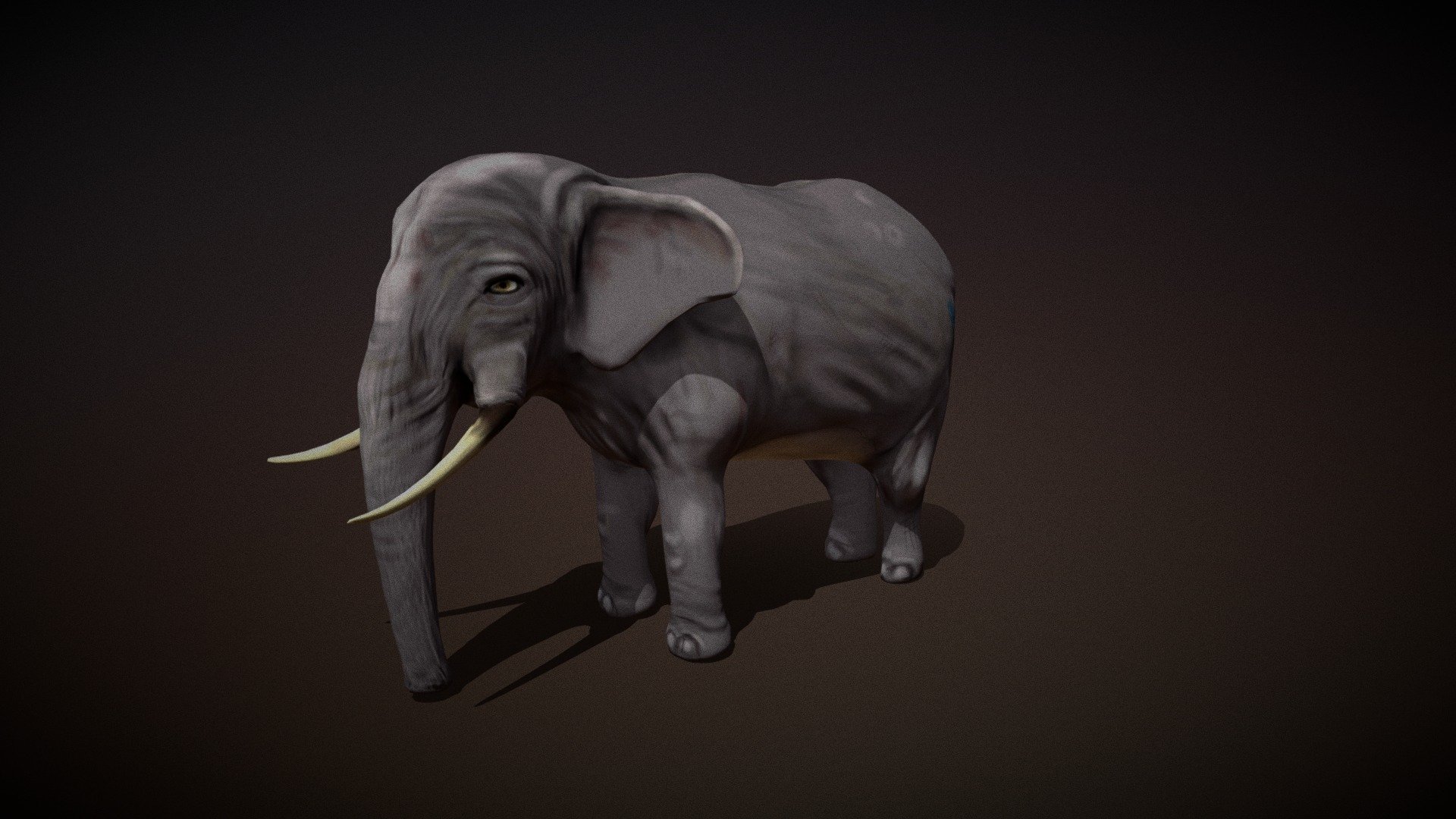 #1 Cartoony Elephant - 3D model by Marius.Radoi [2c0e7be] - Sketchfab