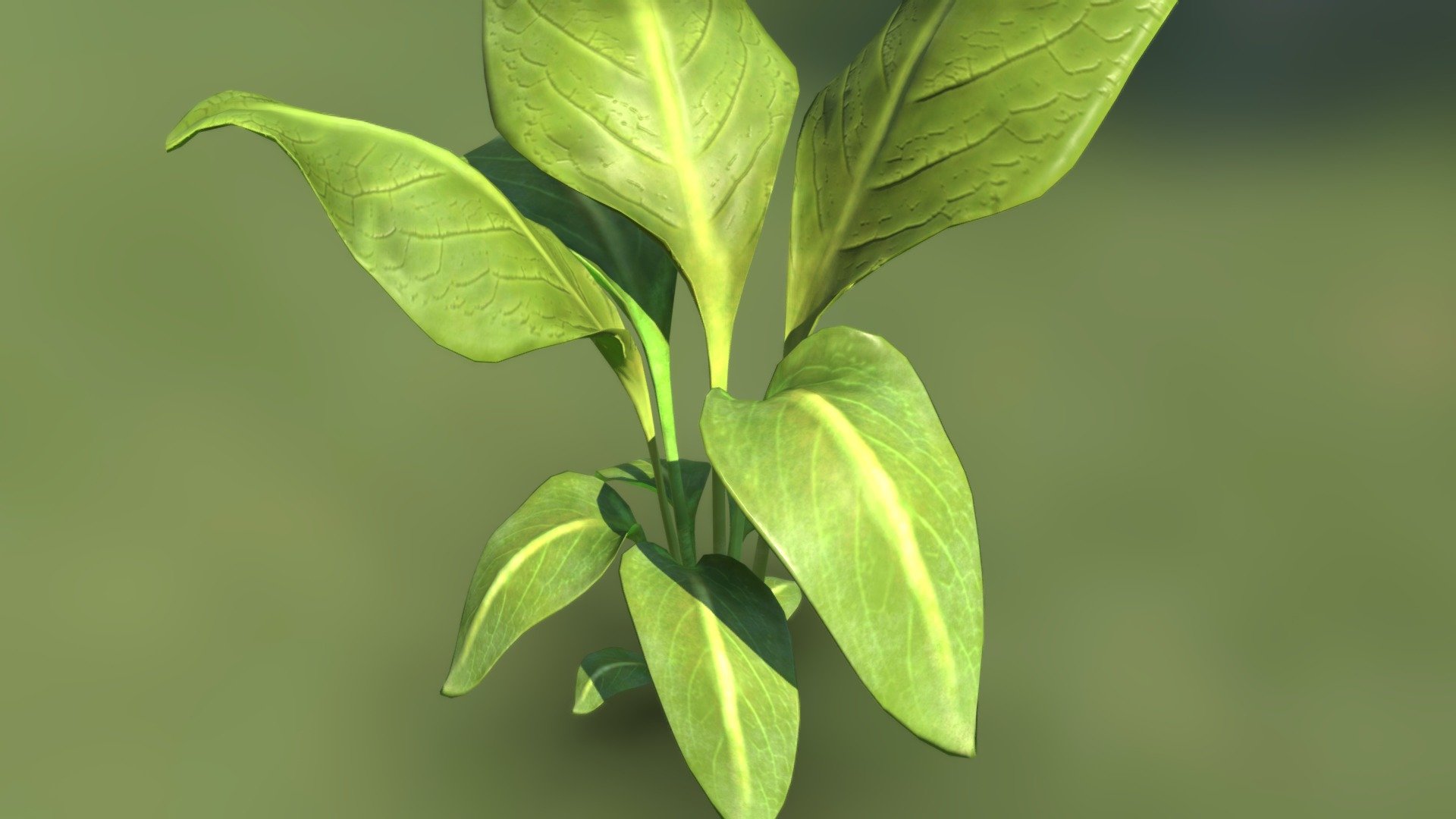 Leaves - 3D model by an Arzour (@an_arzour) [2c0f347] - Sketchfab