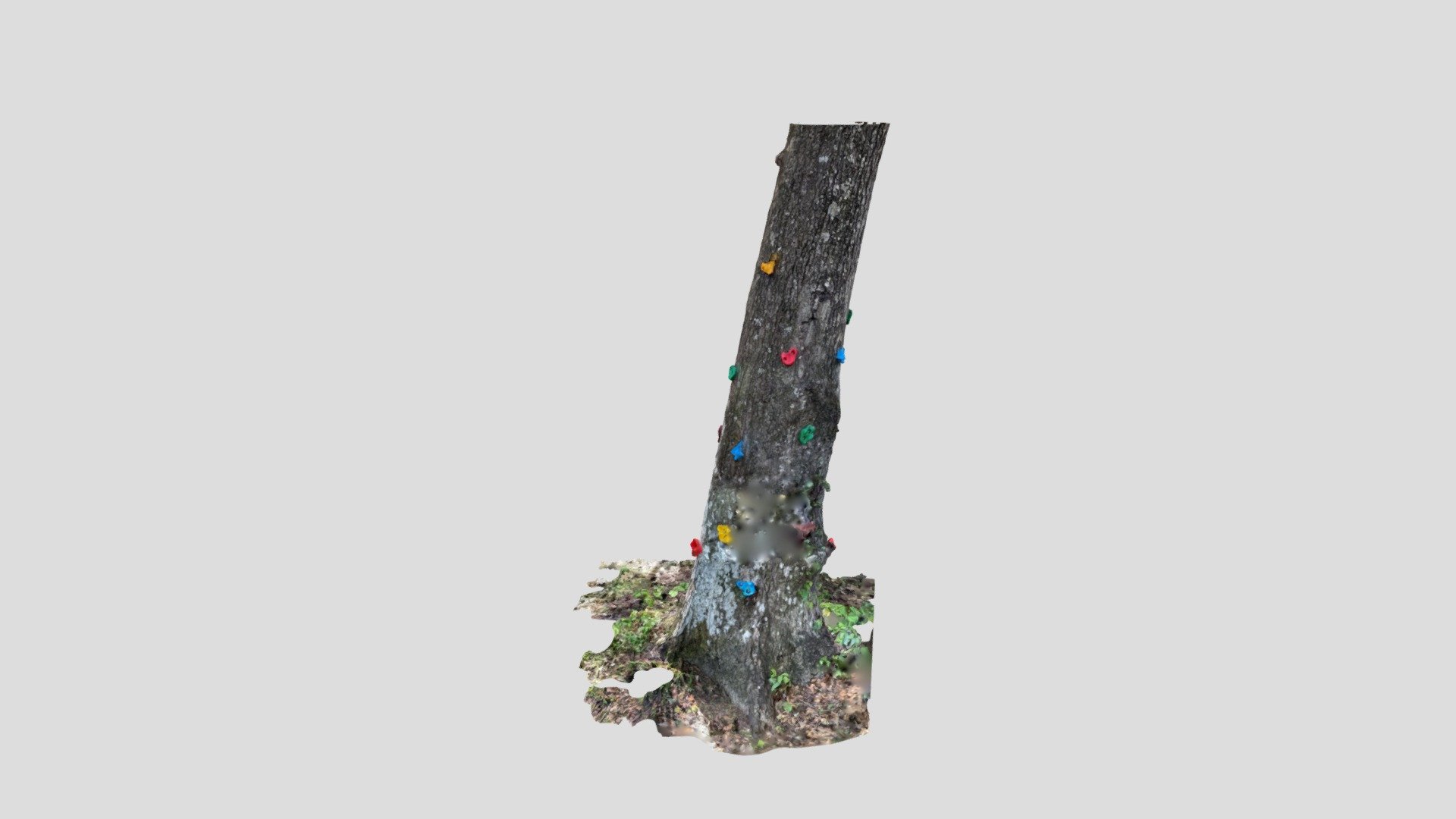 Climbing Tree - Download Free 3D model by ChrisStearns [2c0fff5 ...