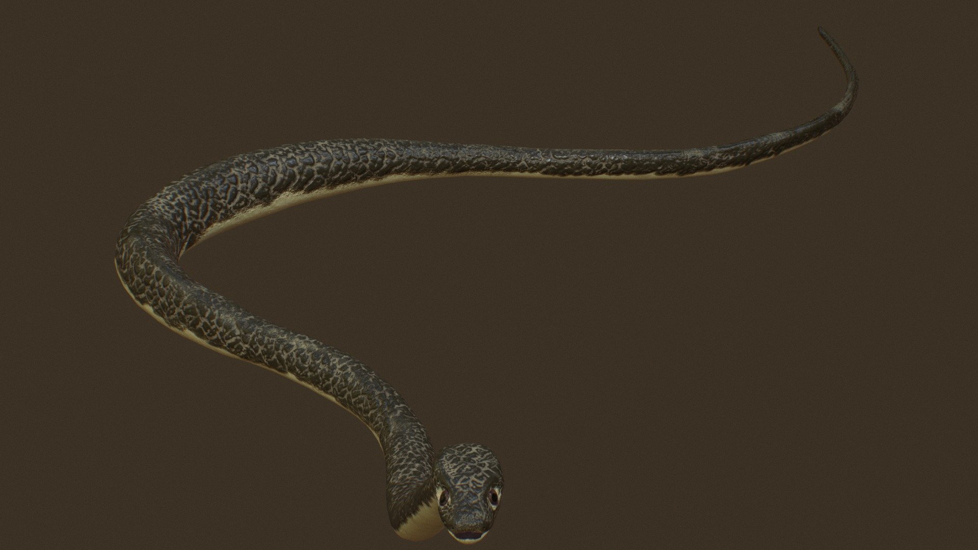 snake - 3D model by BrightMemories.Irina.Moiseeva [2c1af19] - Sketchfab