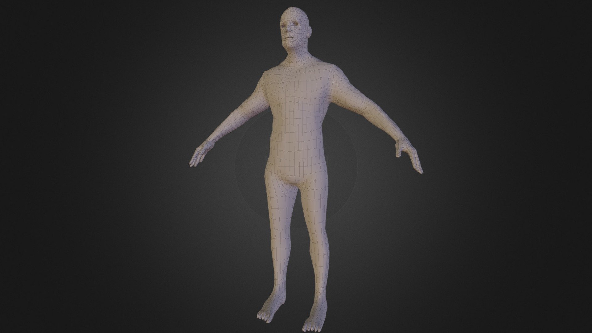 Human Base Mesh - 3D model by Azam Khan (@azamkhan) [2c1e315] - Sketchfab