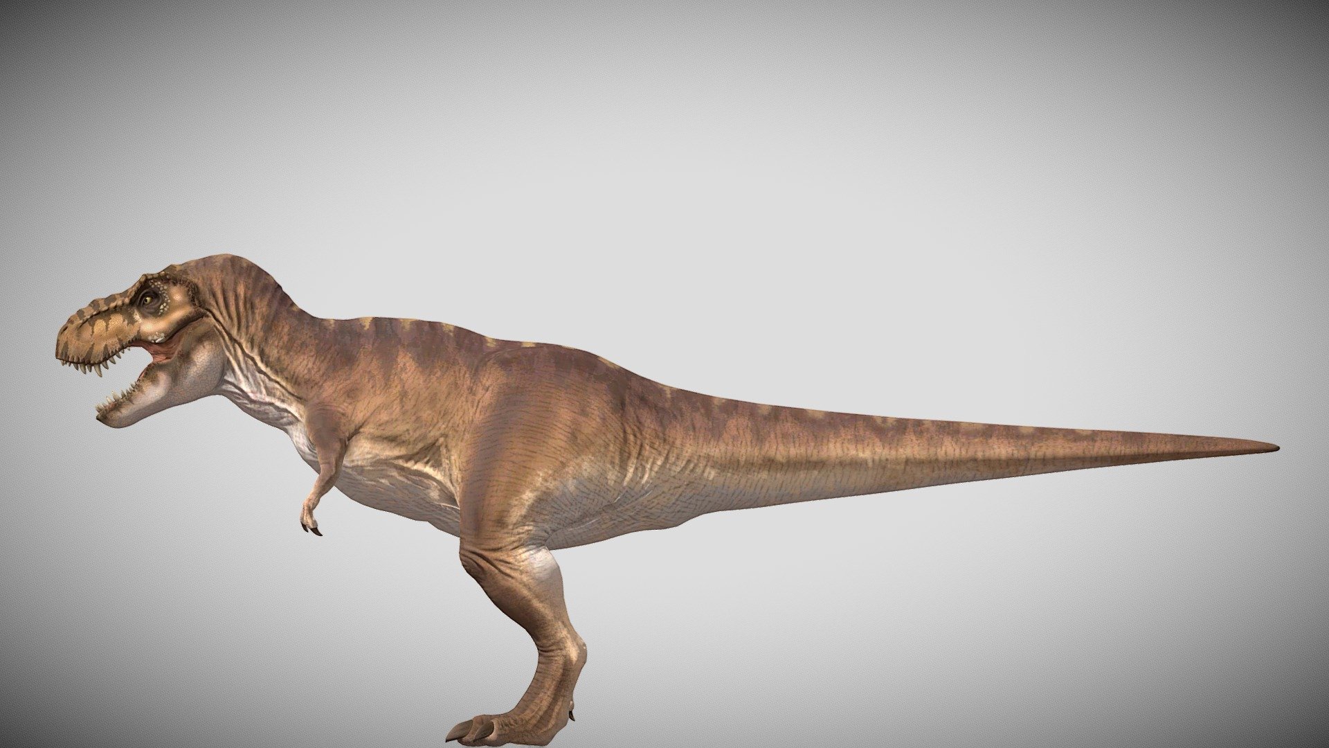 JWE3 Doe Tyrannosaurus Rex - Download Free 3D model by AllThingsSaurus ...