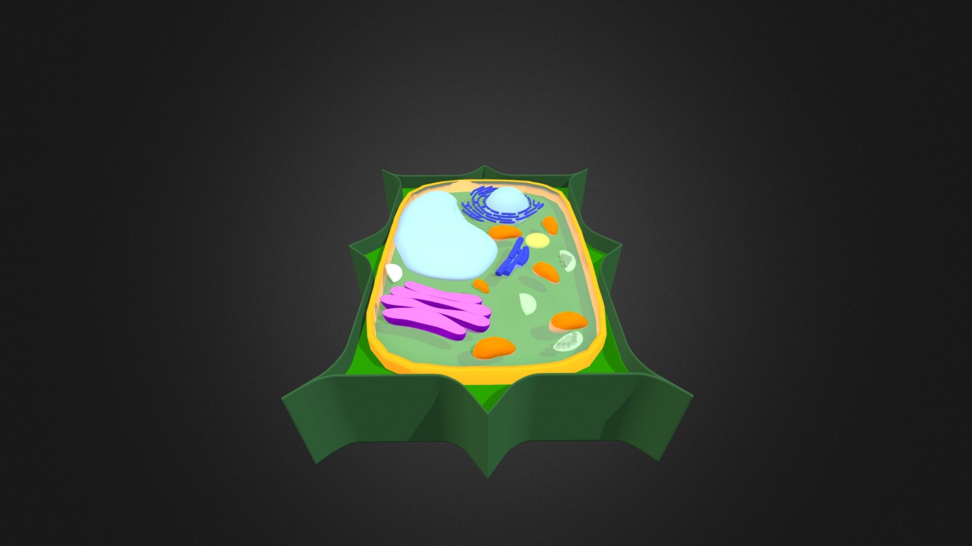 Plant Cell - 3D model by 2008messiahi [2c29acb] - Sketchfab