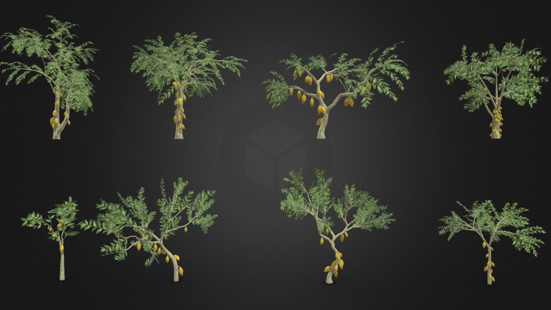 Cacao Tree- Yellow Fruit- Pack 01 - Buy Royalty Free 3D model by ASMA3D ...
