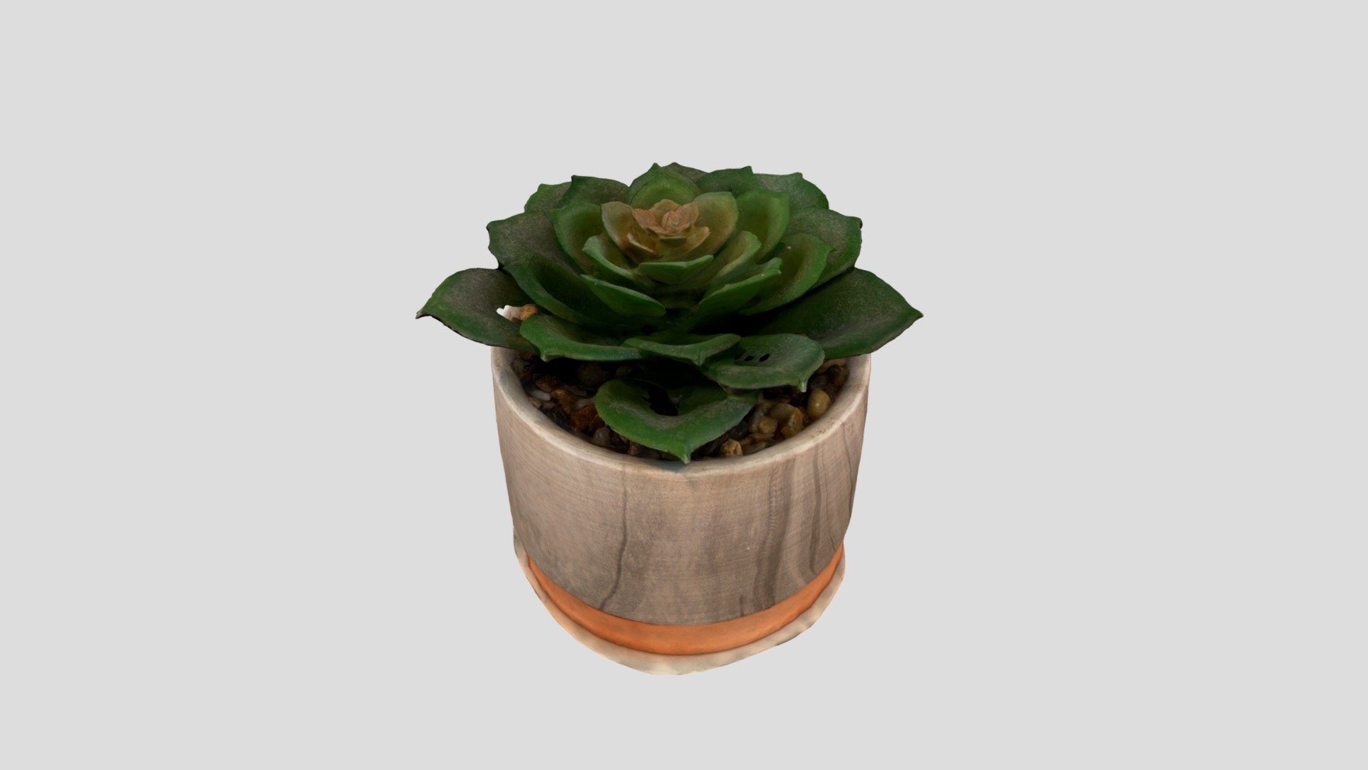 Succulent Plant – Made with PhotoCatch - 3D model by PhotoCatch ...