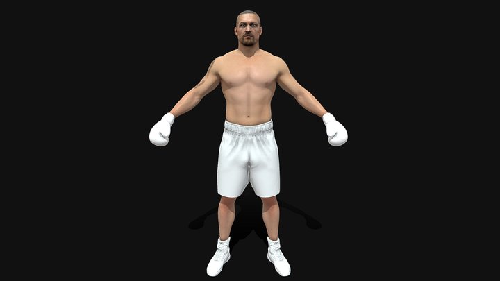 Boxer 3D models - Sketchfab