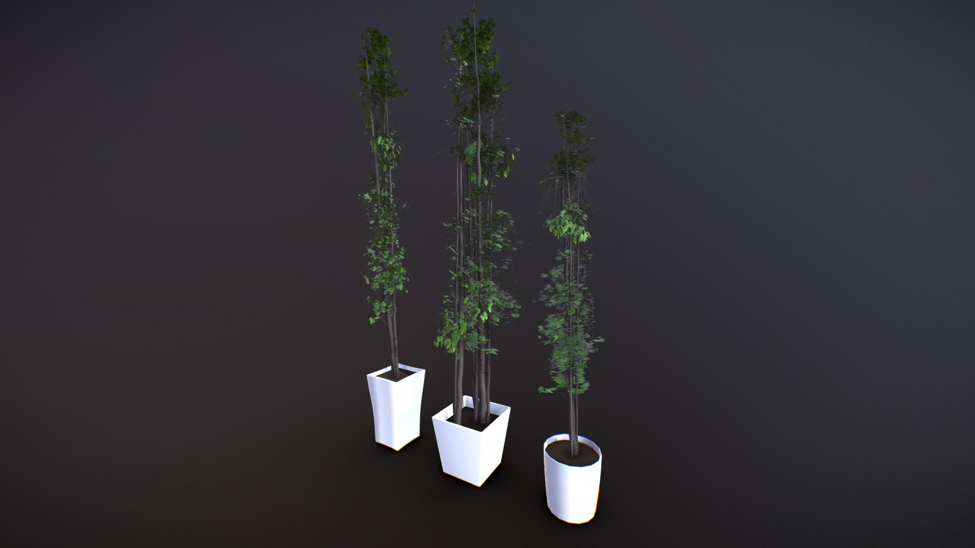 Potted Mini Tree - Buy Royalty Free 3D model by ÆON (@xaeon) [2c35d5b ...