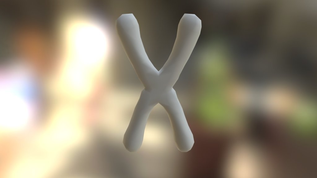 X_Chromosone_model - 3D model by muzh [2c38957] - Sketchfab