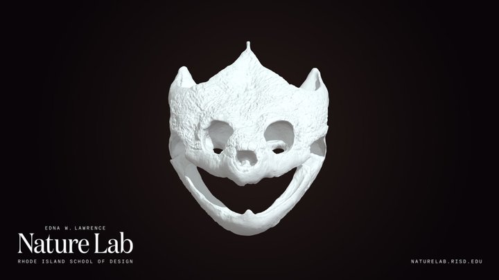 Snapping 3D models - Sketchfab