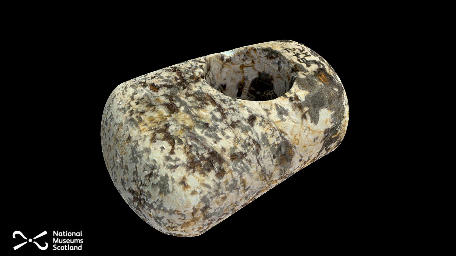 'Orkney pestle' macehead, from, Argyll, Scotland - 3D model by National ...