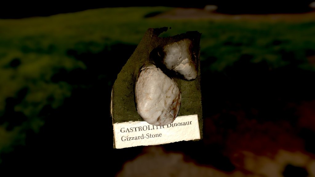 Terrestrial Ecosystems - A 3D model collection by LPpaleo - Sketchfab