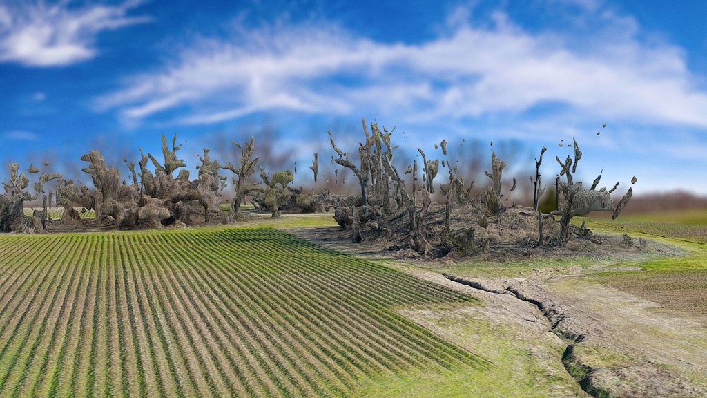 Aerial Photogrammetric Models - A 3D model collection by Frank McMains ...