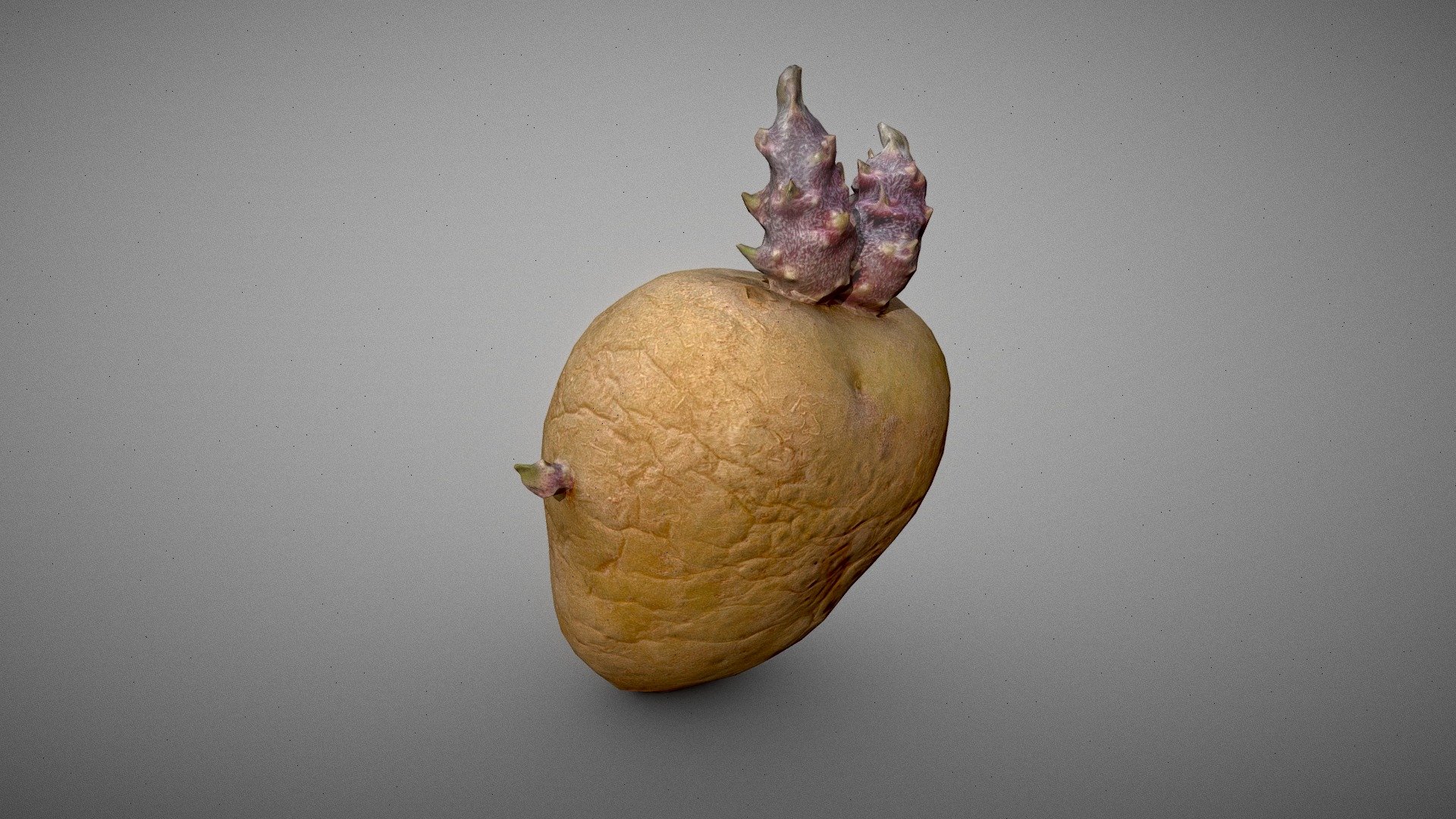 Sprouted Potato III - 3D model by Mingcheng Song (@mingchengsong ...
