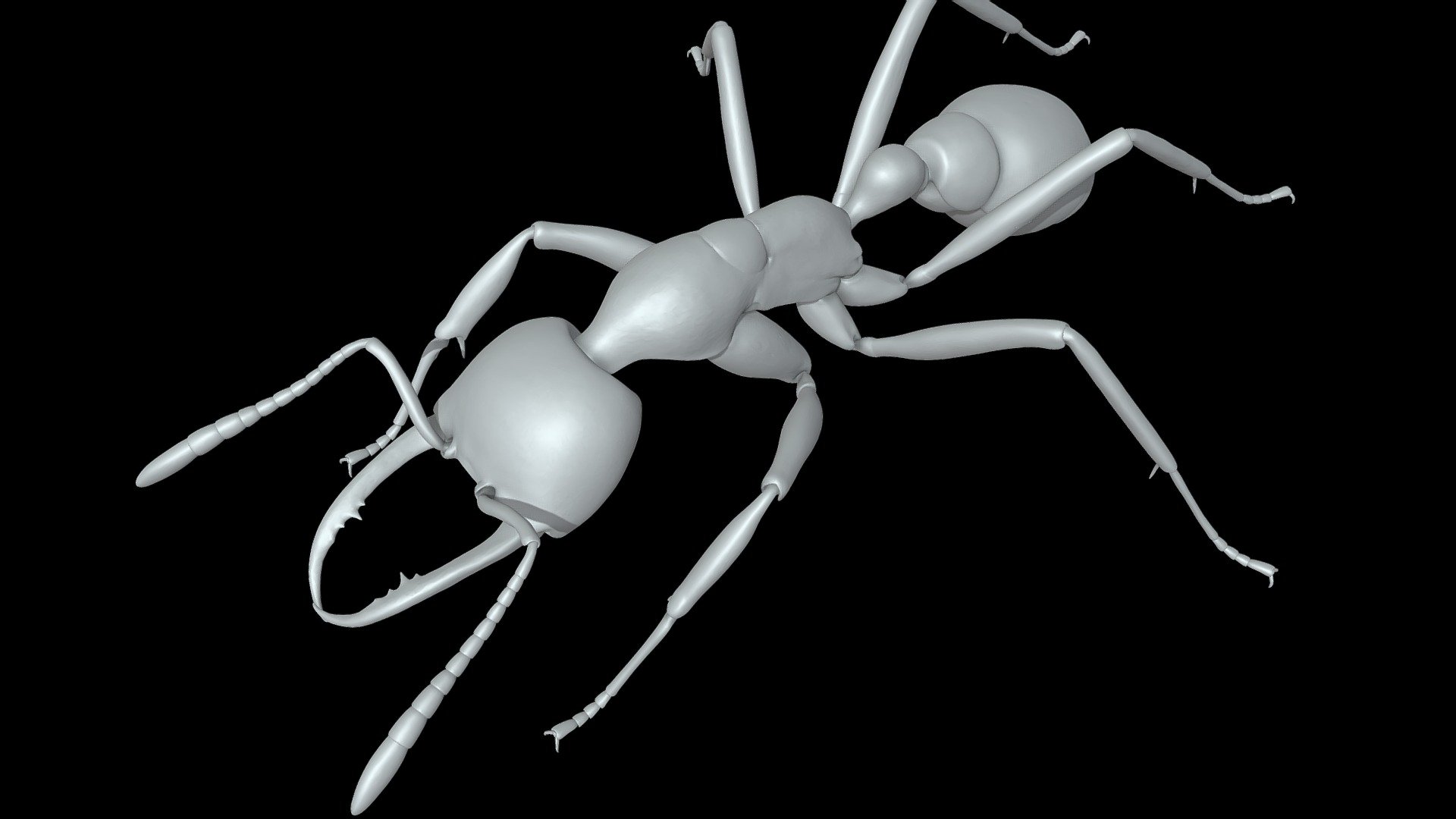 Martialis heureka - Download Free 3D model by tunosemi [2c4beeb ...