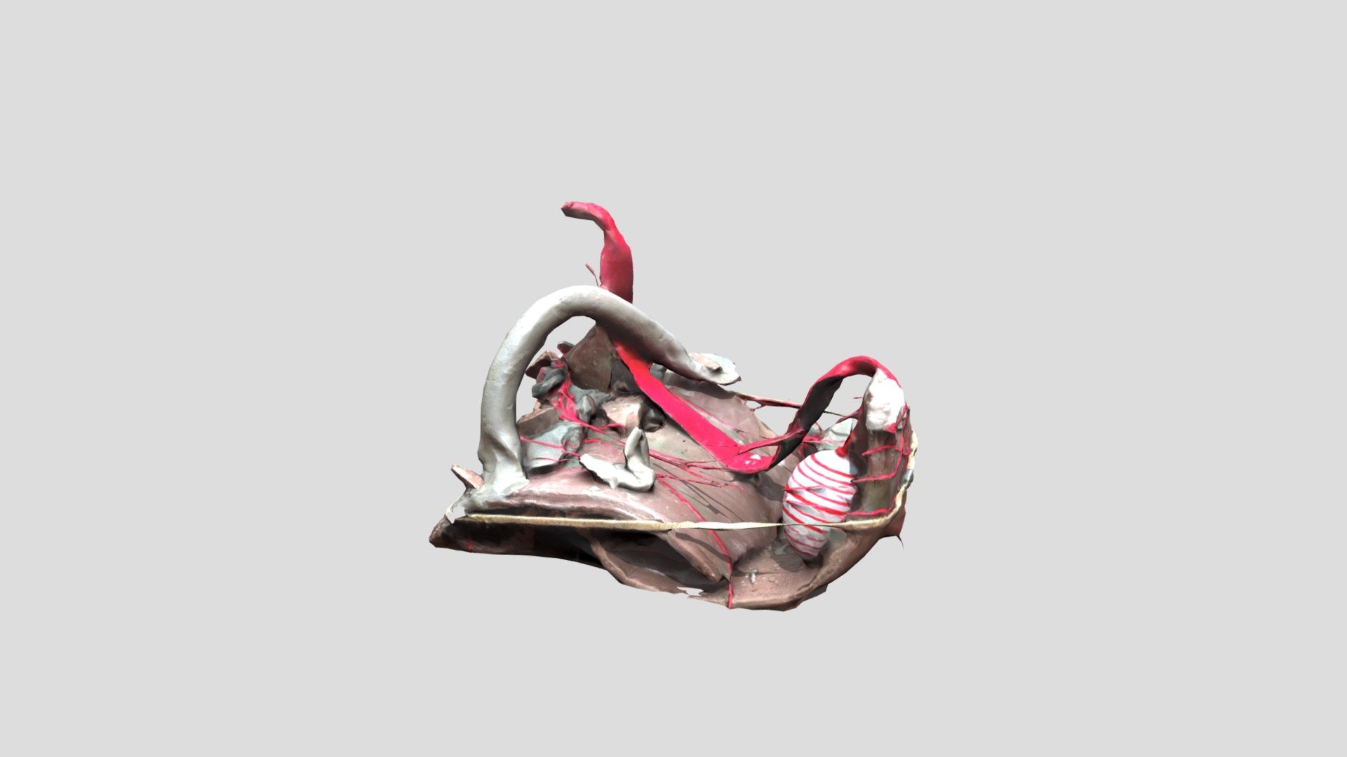 DNA, 2024. Pernilla Iggstrom. - Download Free 3D model by svetlana ...