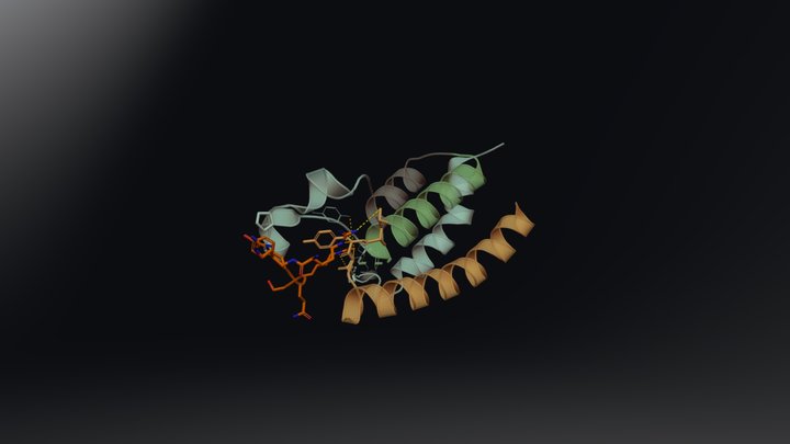 Histone 3D models - Sketchfab