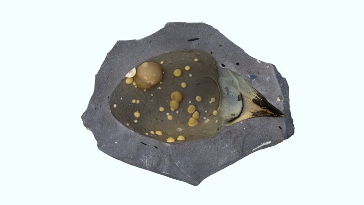 Basalt 3D models - Sketchfab
