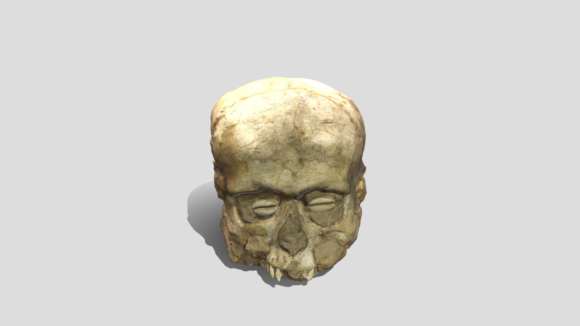 Jericho Skull - Download Free 3D model by Ingmar Franz (@ingiringi ...