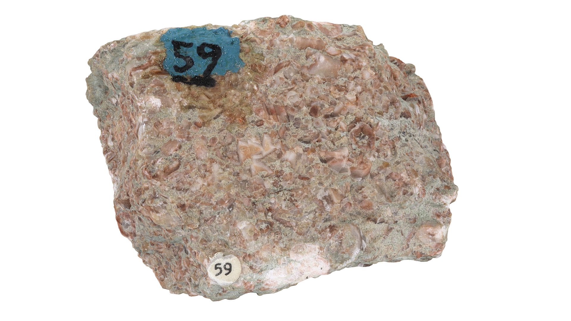 Encrinal limestone #59 05-11-2020 - Download Free 3D model by ...