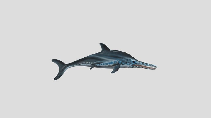 Ichthyosaurus 3D models - Sketchfab