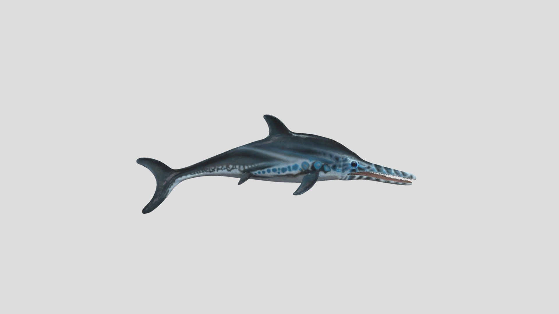 Ichthyosaurus model - Buy Royalty Free 3D model by Naturaliter [2c6f1cb ...