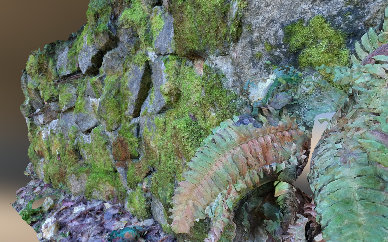 Moss Retaining Wall - 3D model by Larseroo [2c6f956] - Sketchfab
