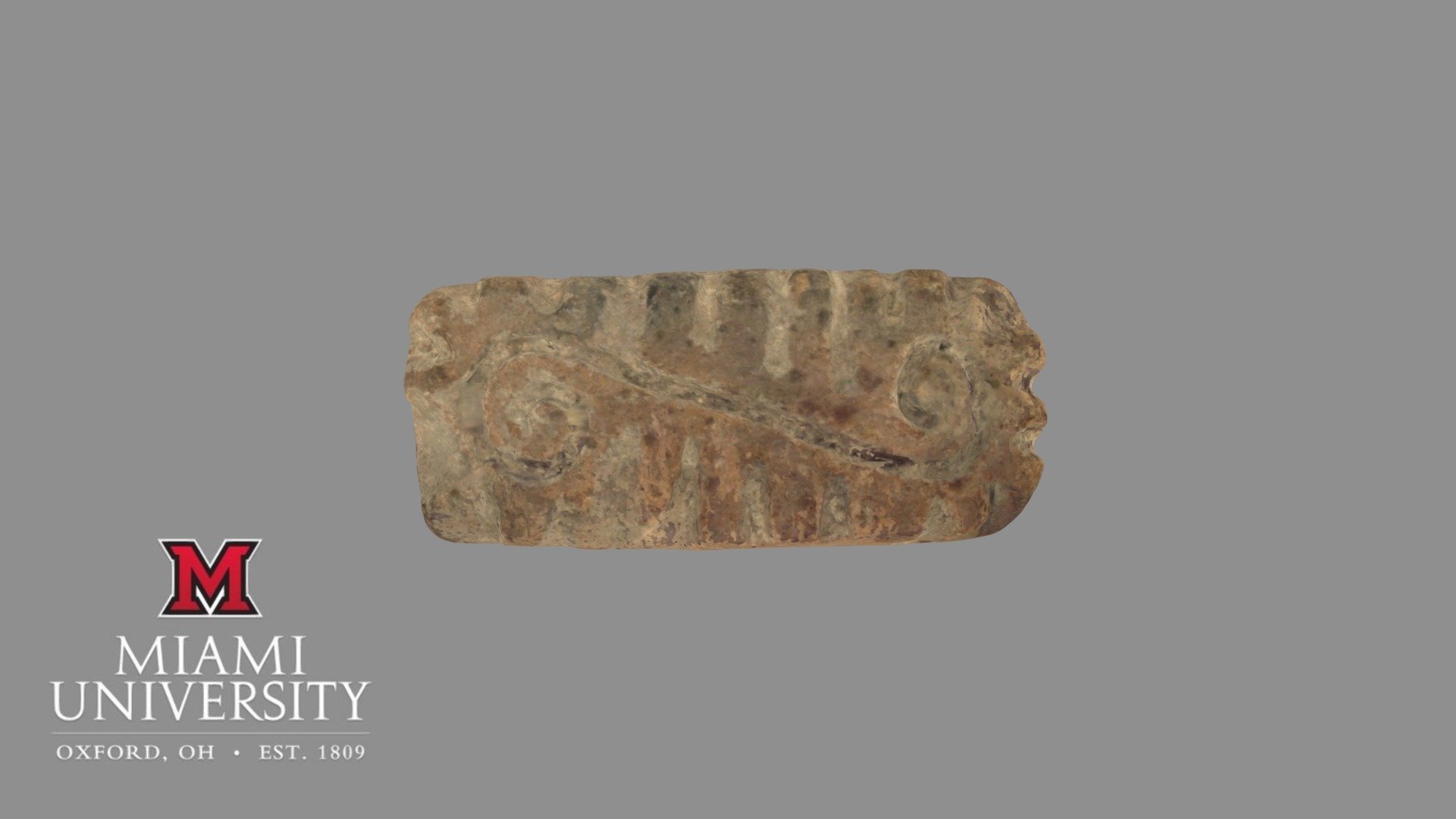 1-1618 Flat Stamp - Download Free 3D model by miamianthropology3d ...