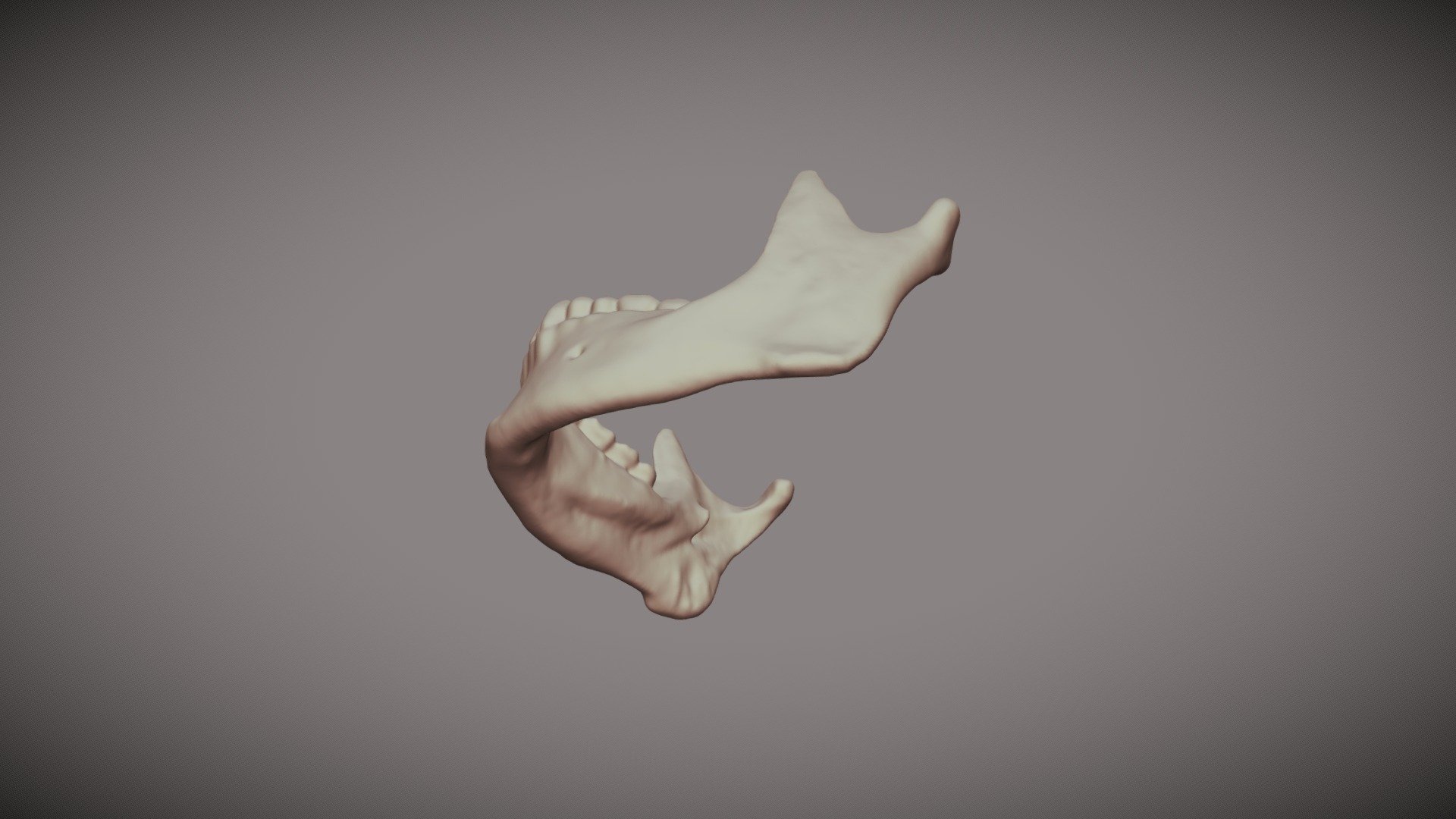Mandible - 3D model by OrJames Labs (@orjameslabs) [2c985a7] - Sketchfab