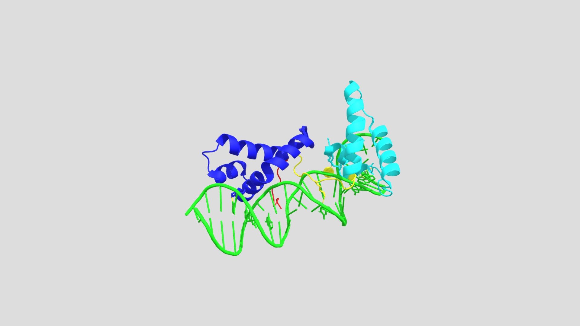 Structure of the CENP-B - DNA complex. - Download Free 3D model by ...
