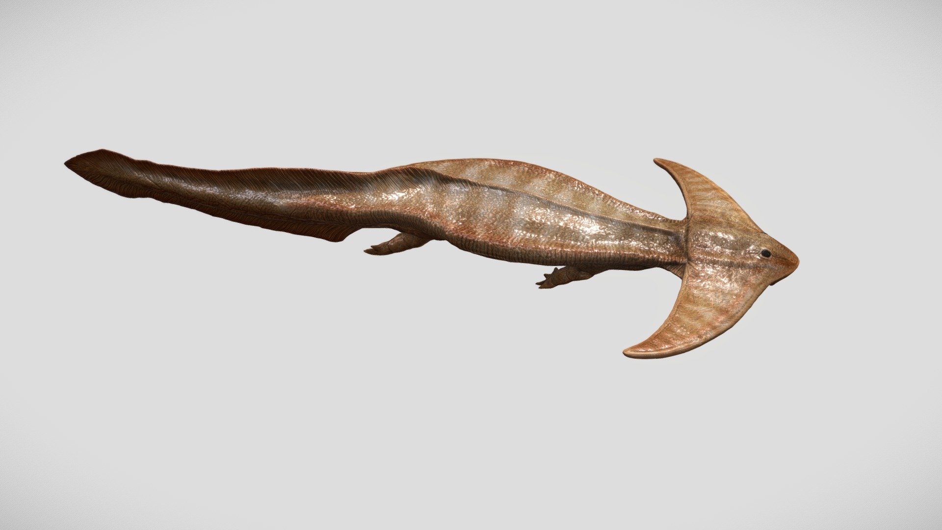 Diplocaulus - Buy Royalty Free 3D model by RickStikkelorum (@ricksticky ...