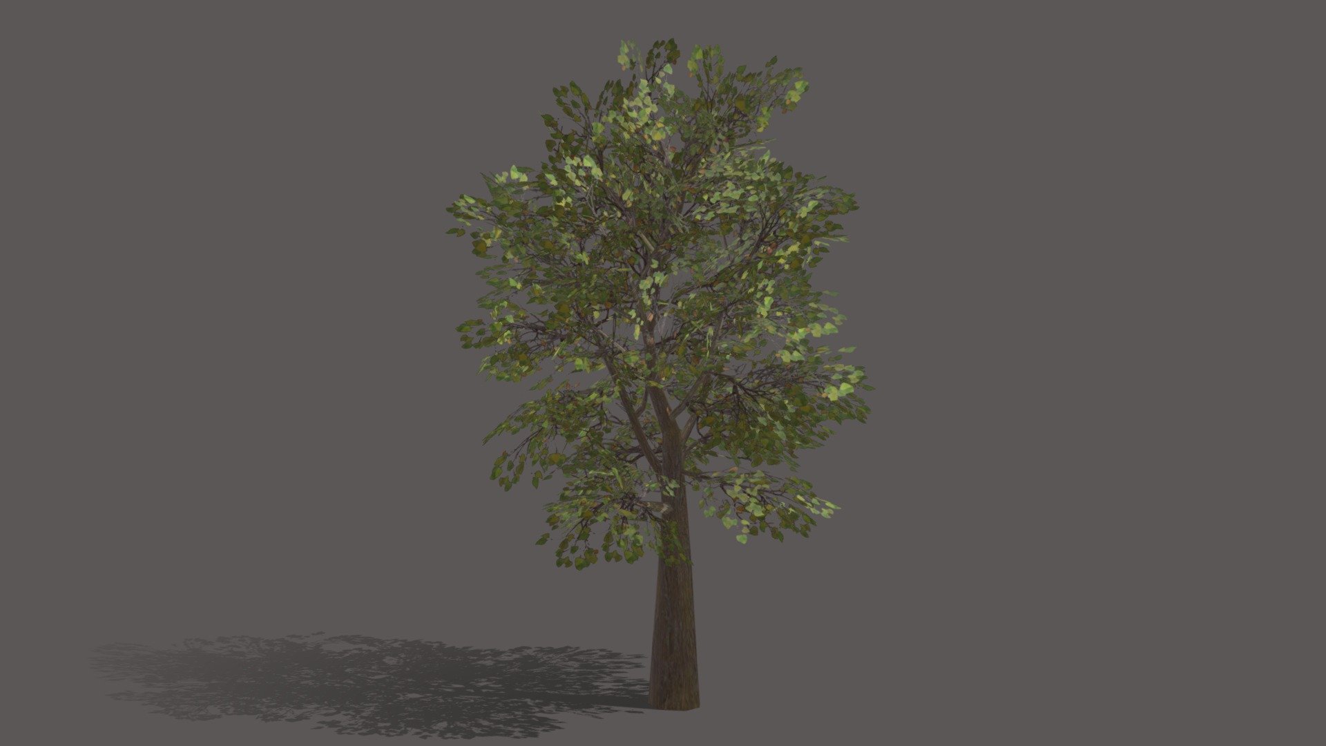 Game ready tree - Buy Royalty Free 3D model by H U N T E R 7 (@hunter7) [2caa3f8] - Sketchfab Store