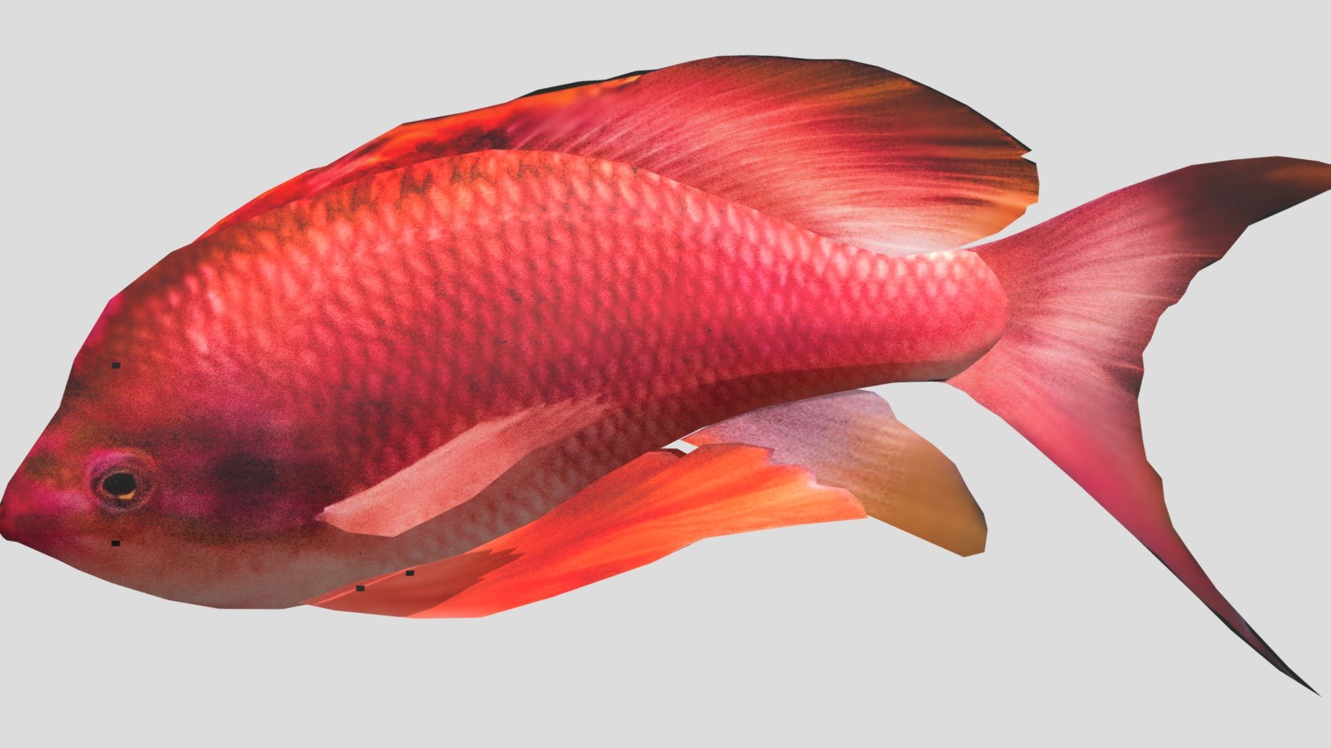 PINK FISH - 3D model by fadwa_toon (@cuteanimals) [2cb13c7] - Sketchfab