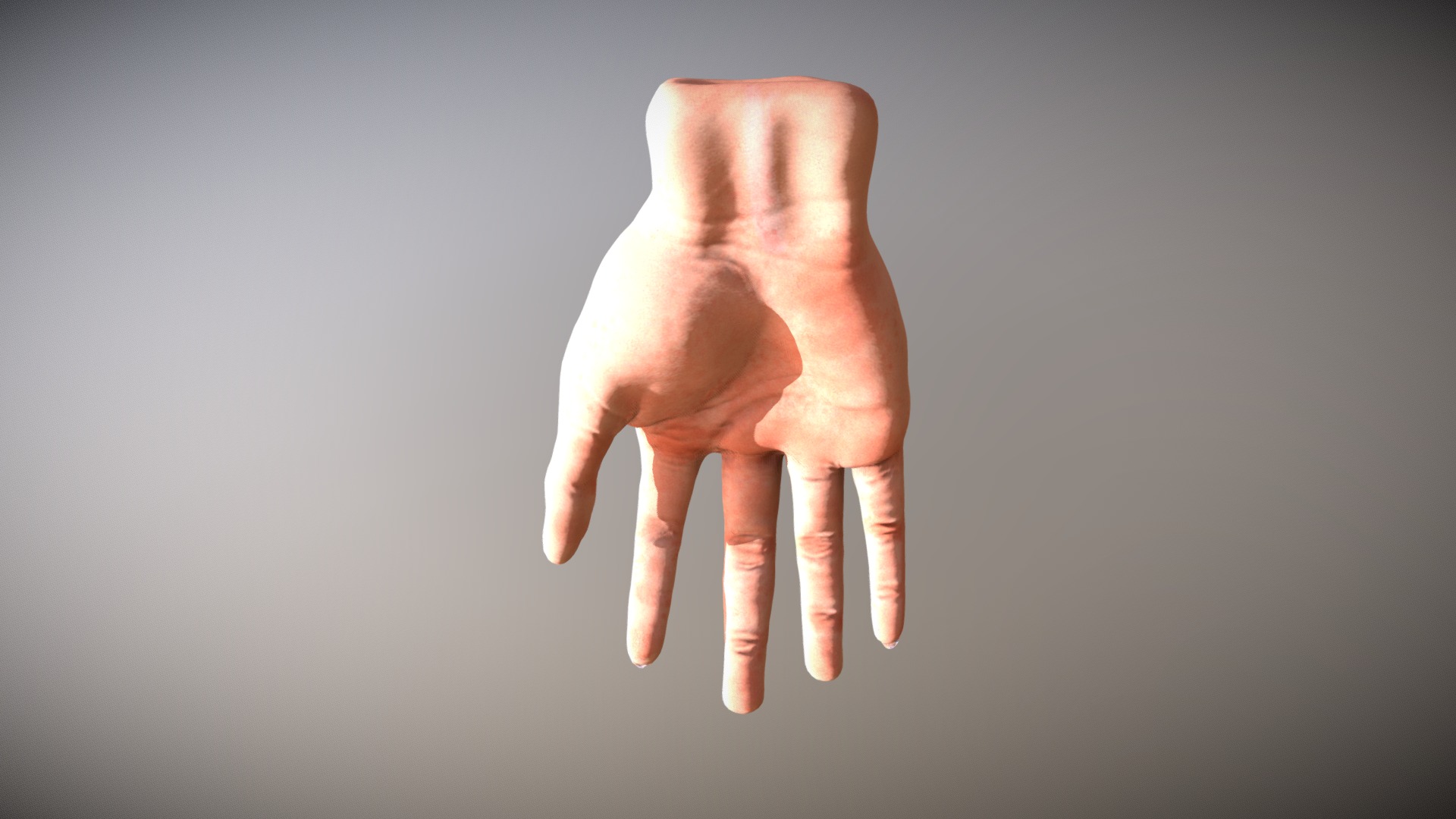 Hand - 3D model by PMankoo [2cbf164] - Sketchfab