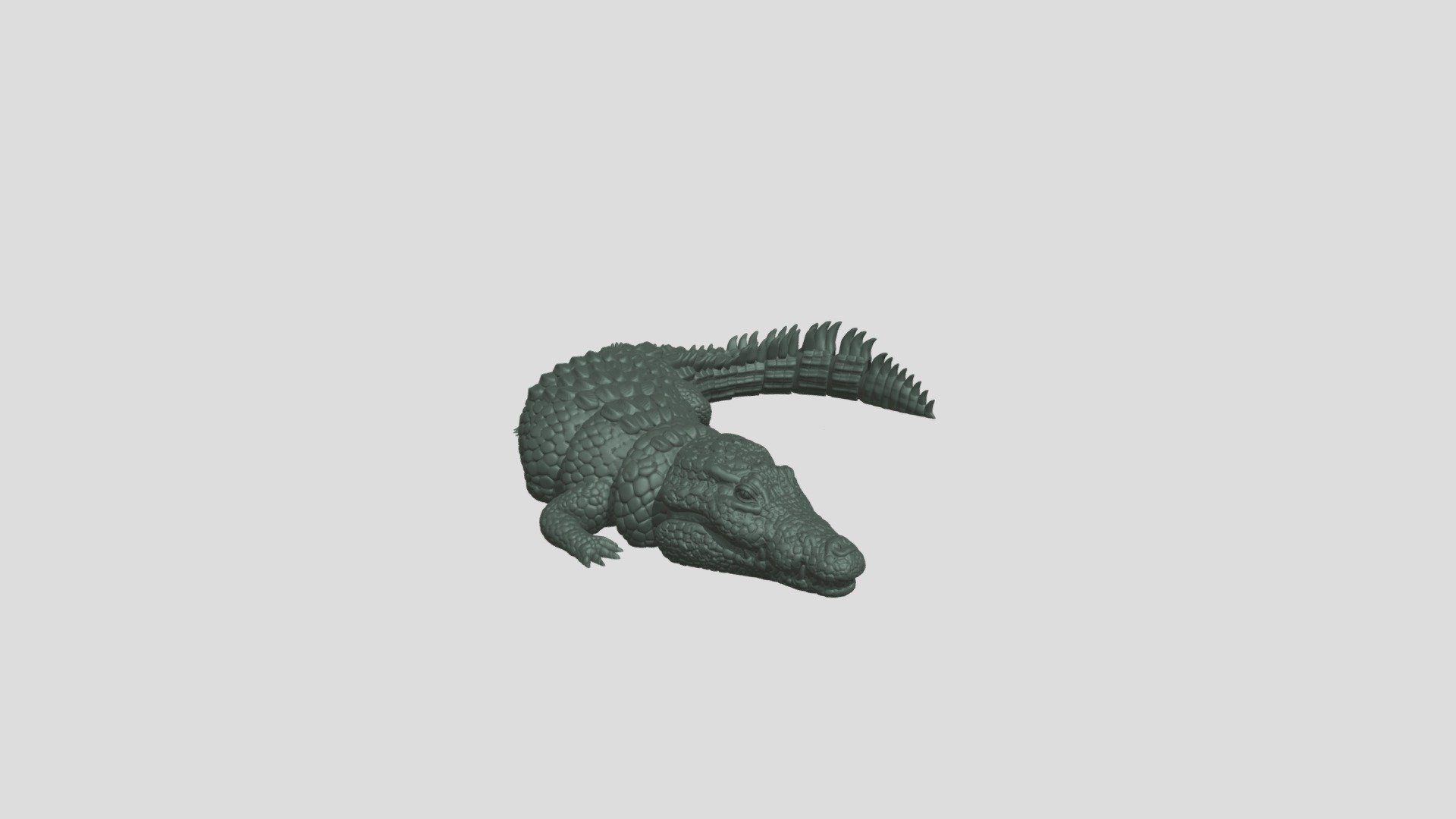 Articulated realistic crocodile - Download Free 3D model by JereWang ...